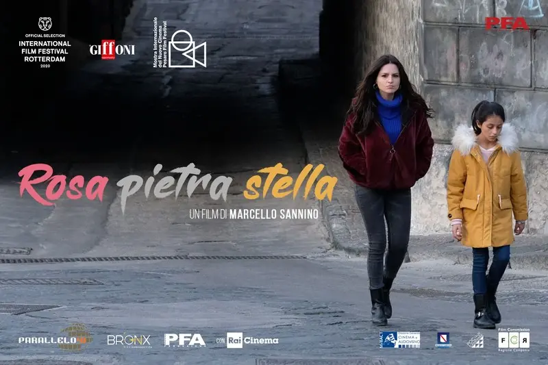 Rosa Pietra Stella: tra Portici e Napoli l’opera prima di Marcello ...